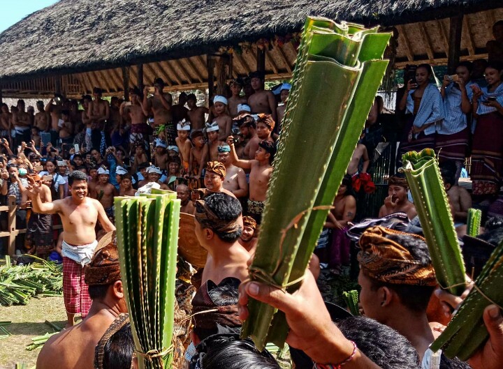 Perang Pandan, Dedikasi Warga Tenganan Untuk Dewa Perang Indra.